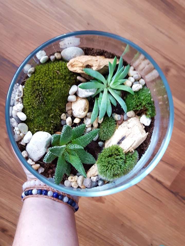 Florárium | Chatyblog.sk