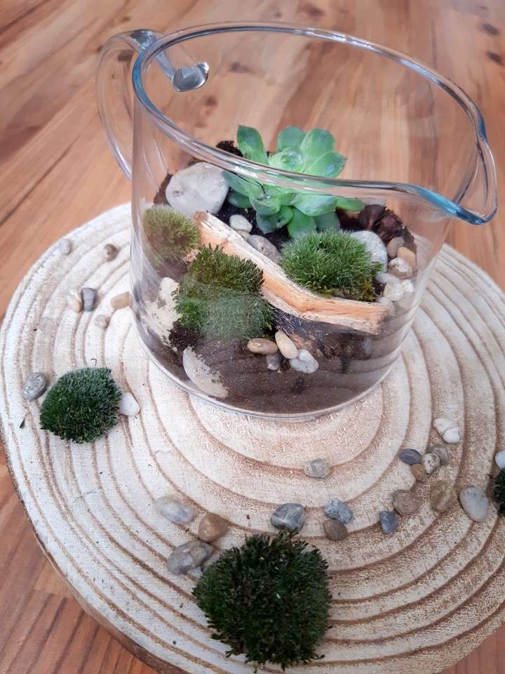 Florárium | Chatyblog.sk